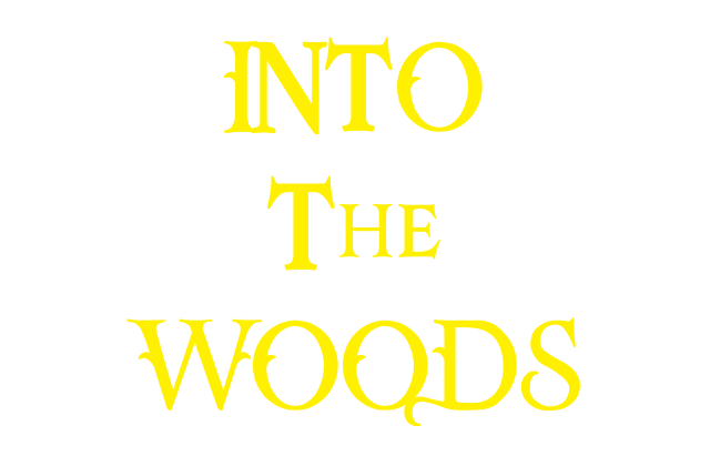 Shows - The Nocturne Theatre